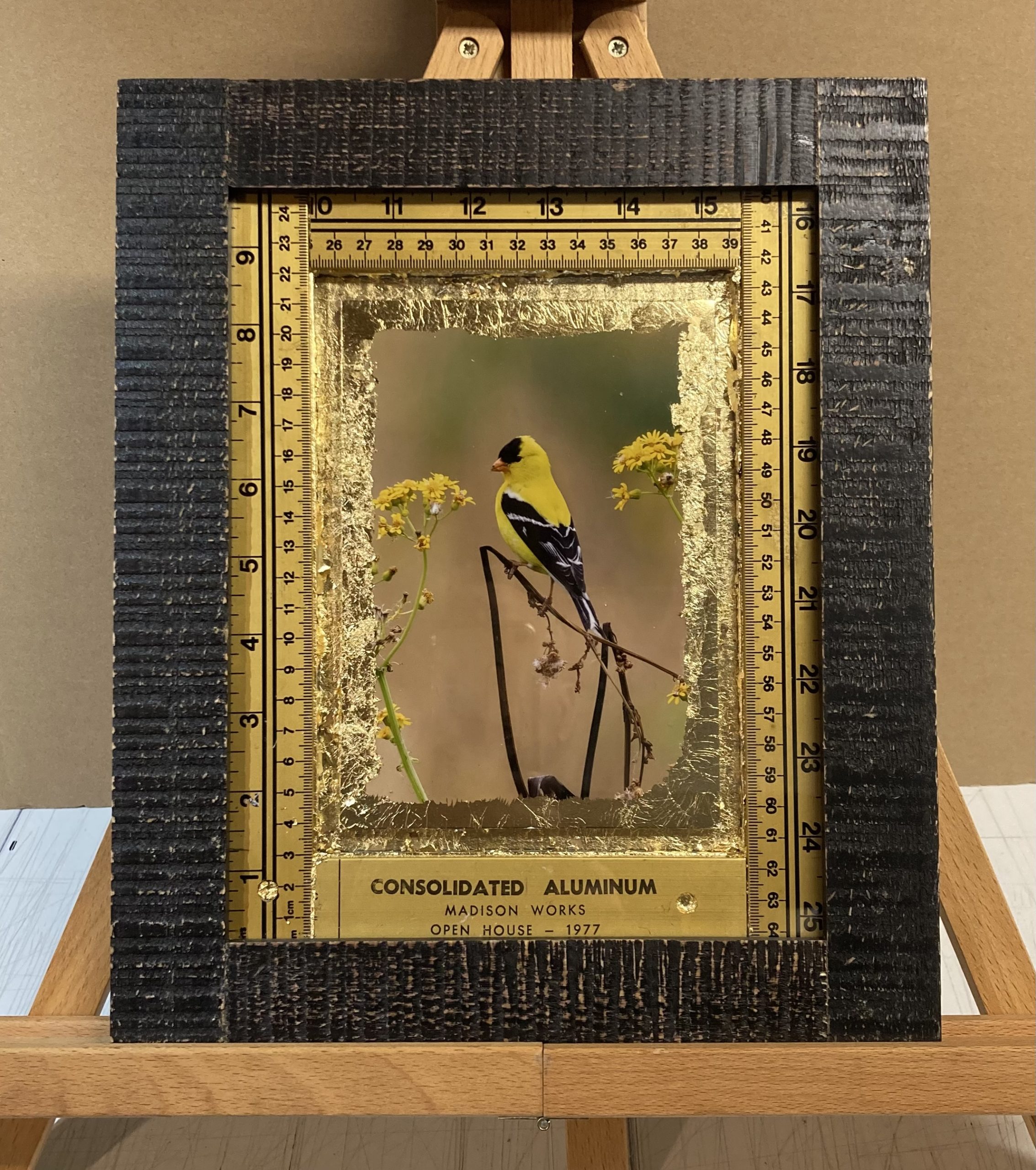 January 2023 Birds - Hal Moran - a wandering photographer